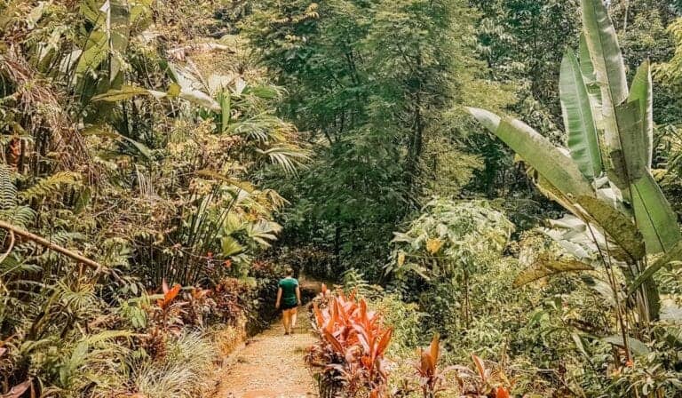 Arenal Volcano: Practical Visitors Guide