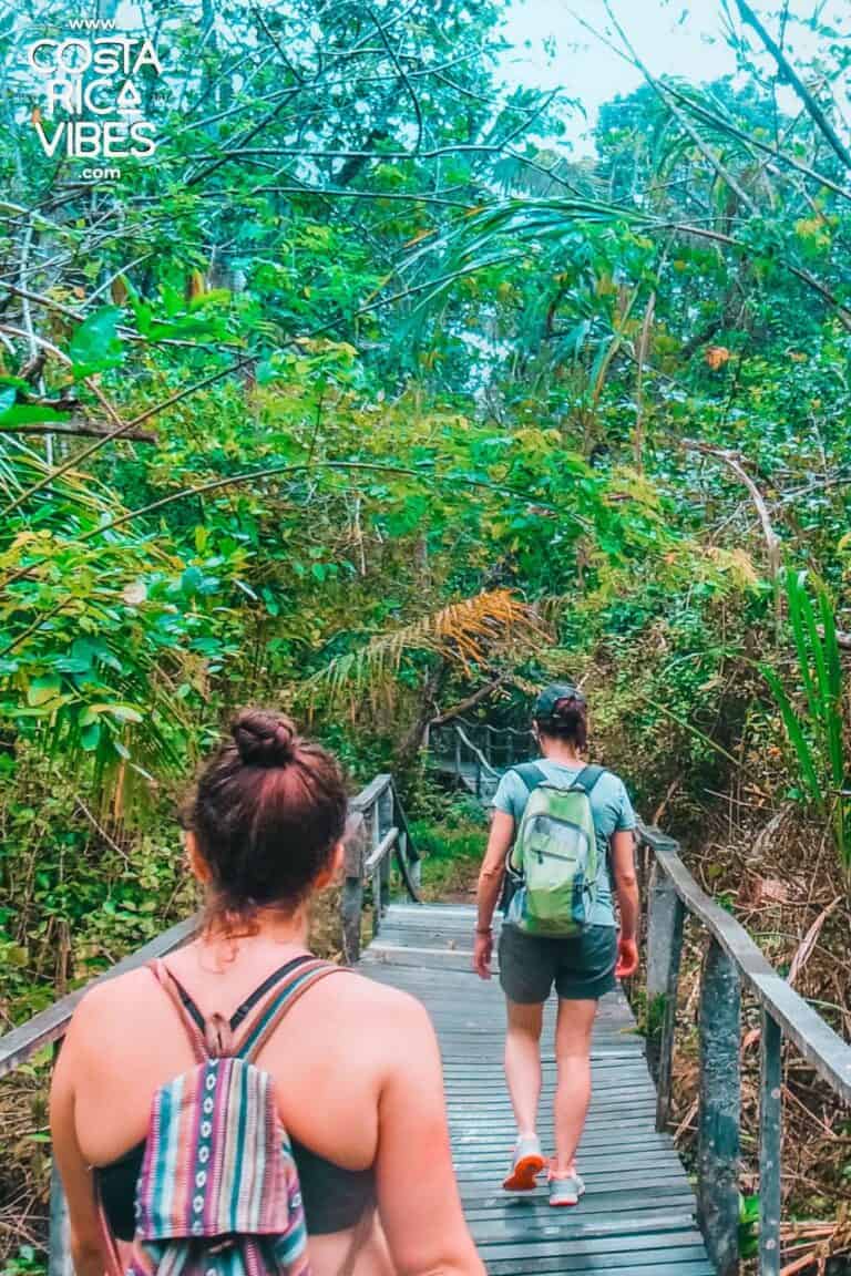 Cahuita Costa Rica: Guide to A Stunning Caribbean Beach Town