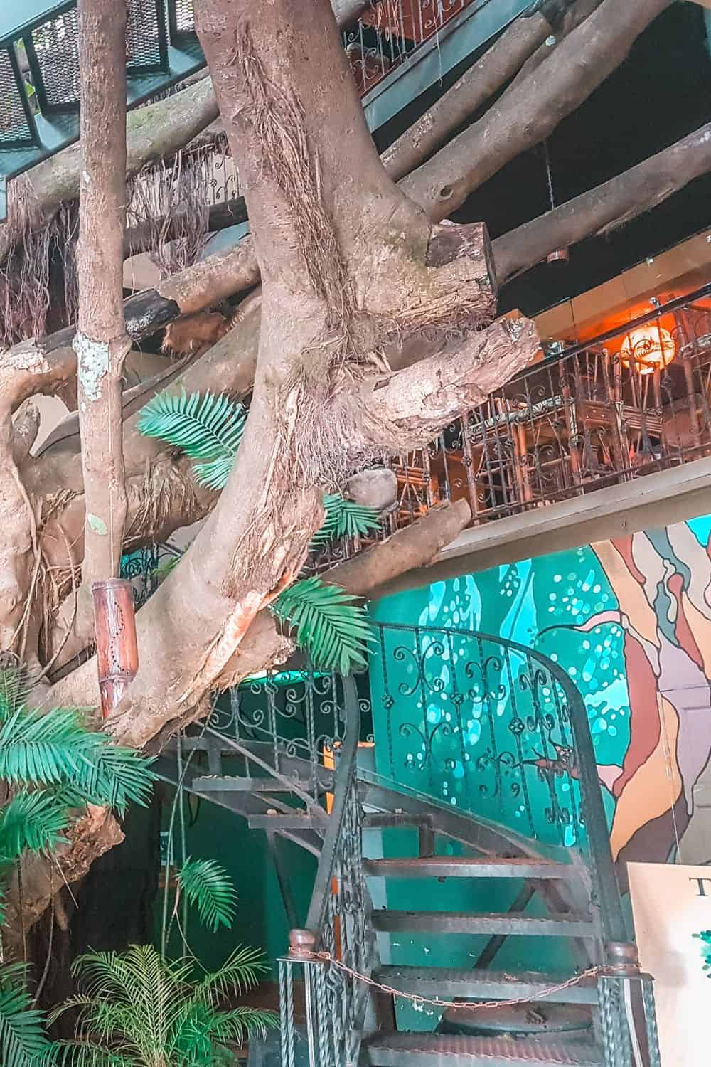 17 Most Unique Restaurants in Costa Rica That You'll Love