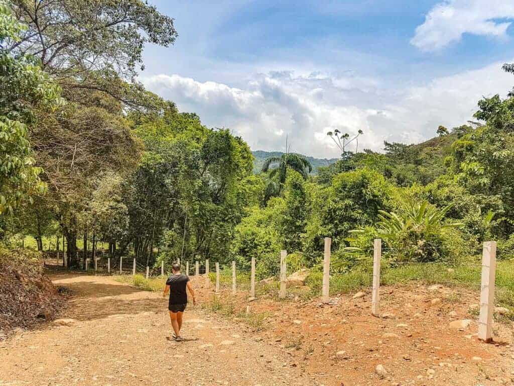 National Parks in Costa Rica - Plan a Visit - Costa Rica Vibes