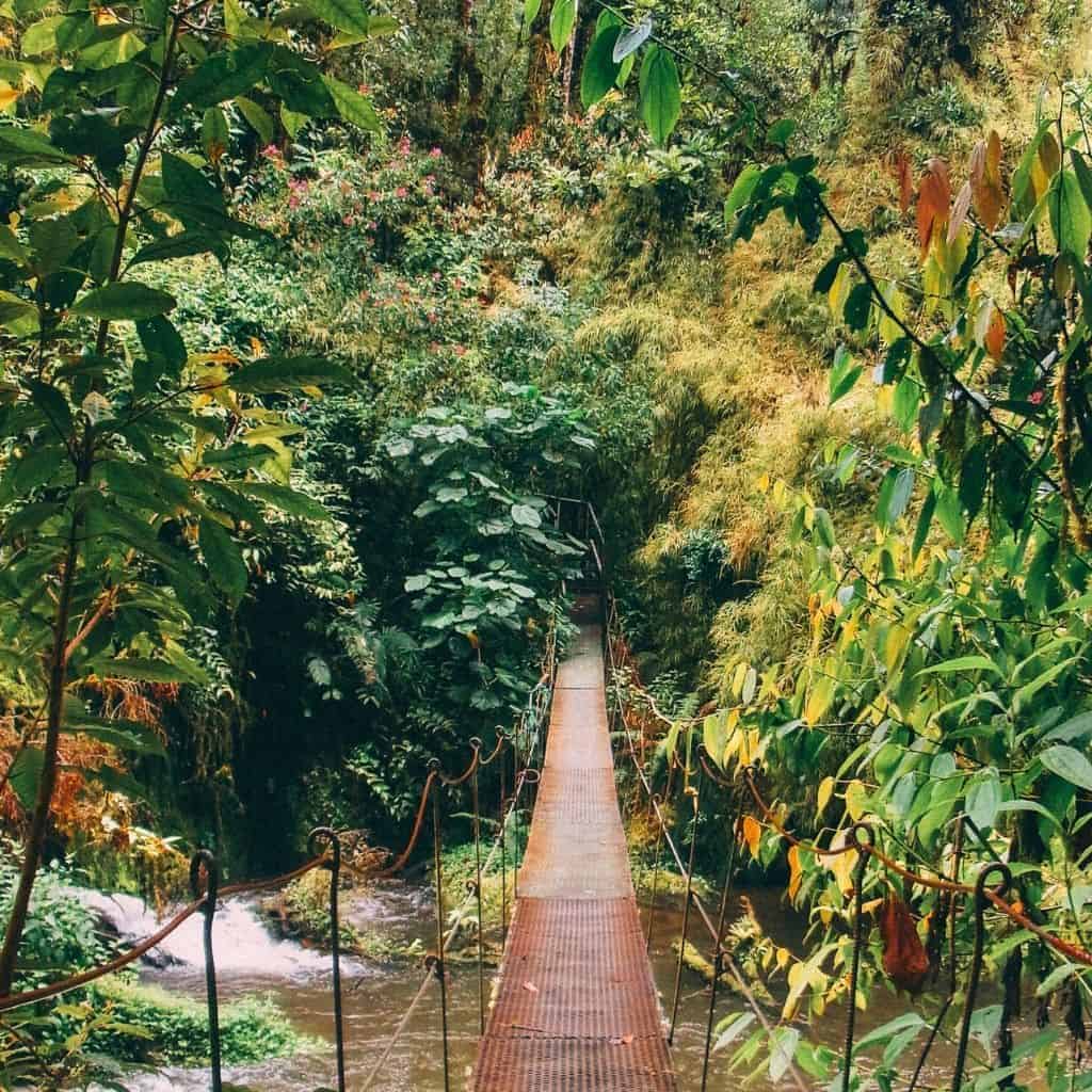 San Gerardo de Dota Costa Rica - 2021 Guide - Costa Rica Vibes