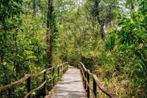 Ecotourism in Costa Rica - Plan a Sustainable Trip