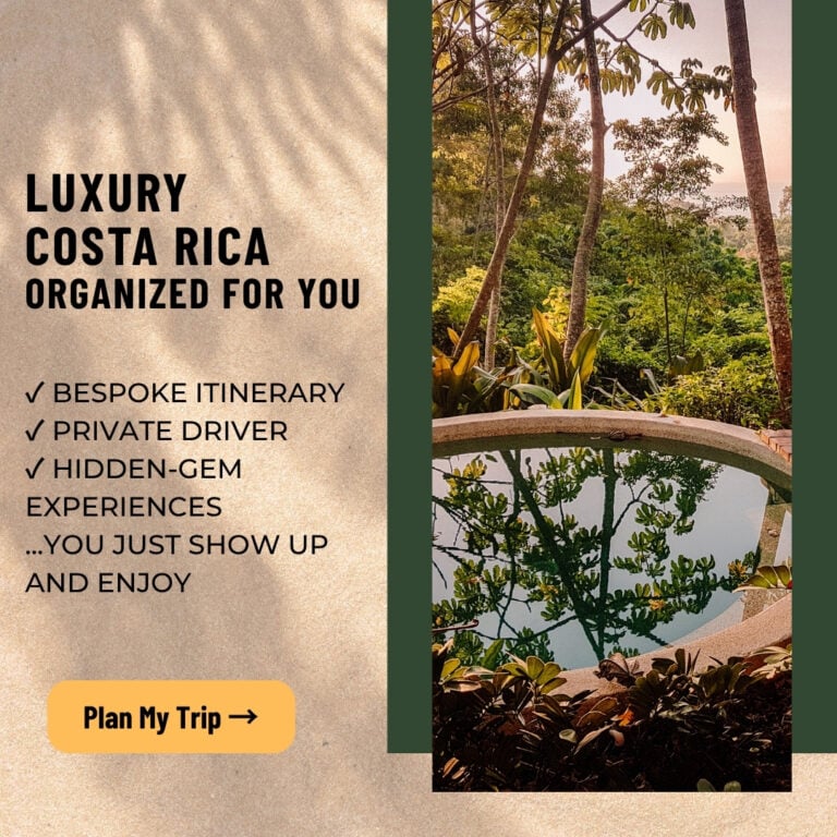 Adobe Car Rental Review in Costa Rica: What You Need to Know