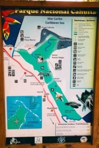 Cahuita National Park in Costa Rica: The Best Visitors Guide